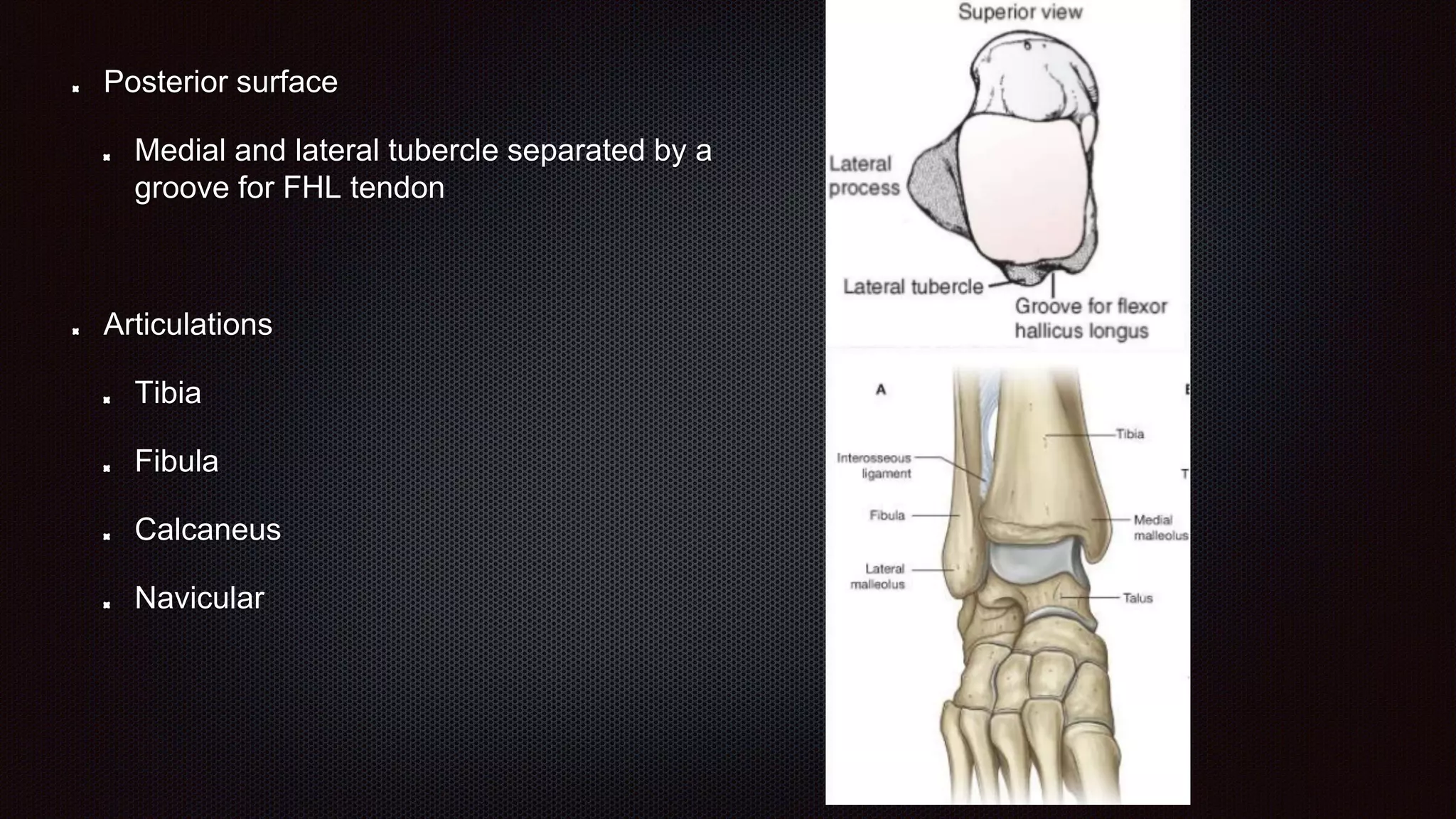 Talus fractures and mx | PPTX