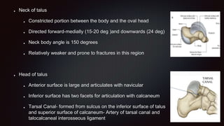 Talus fractures and mx | PPTX