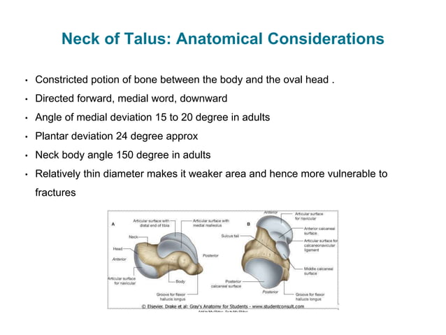 Talus fracture treatment algorithm | PPT
