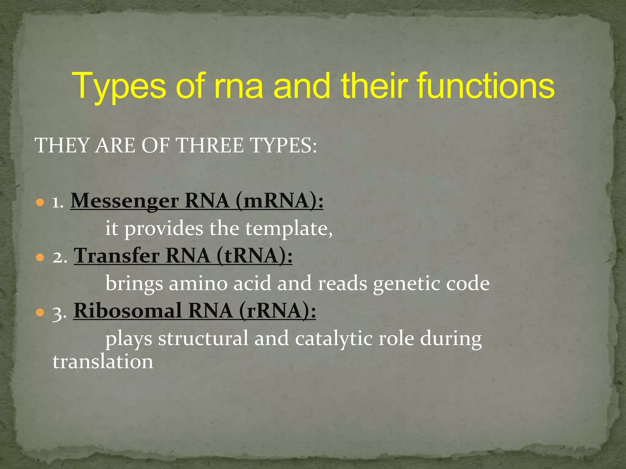 nucleic acids- the dna and rna | PPTX
