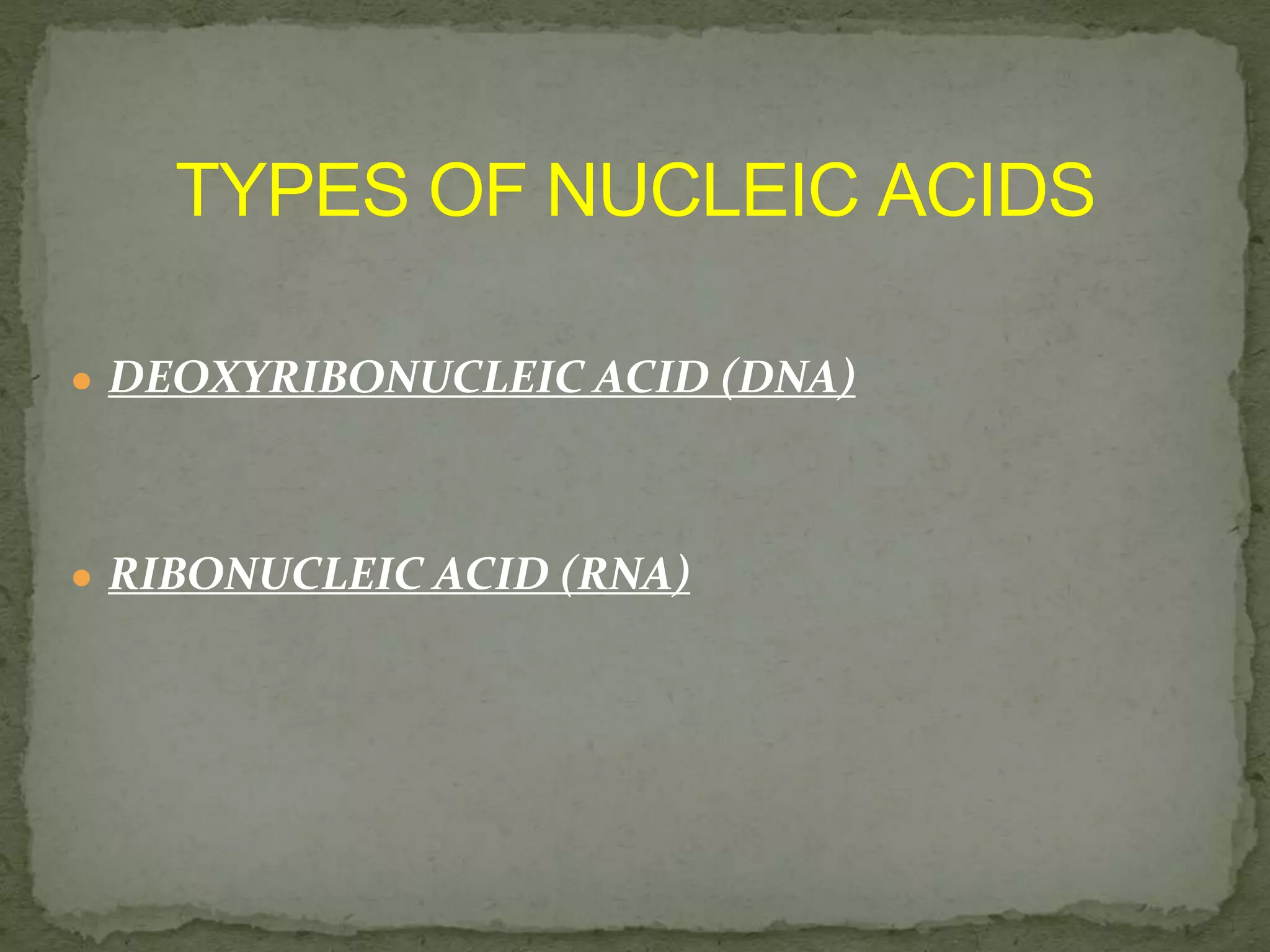 nucleic acids- the dna and rna | PPTX