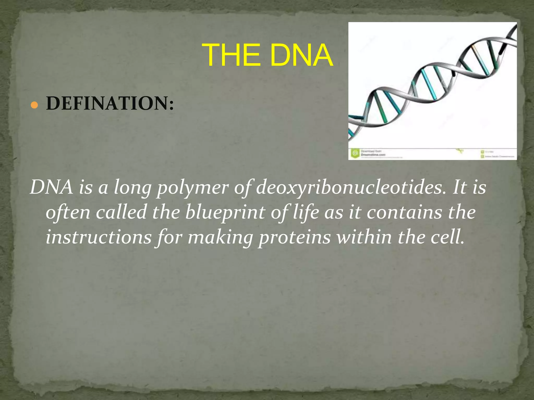 nucleic acids- the dna and rna | PPTX