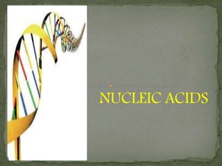 nucleic acids- the dna and rna | PPTX