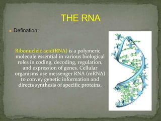 nucleic acids- the dna and rna | PPTX