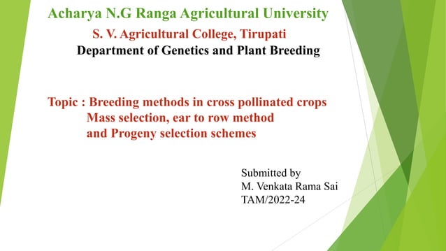 Breeding Methods in Cross Pollinated crops, Mass Selection, Ear to row ...