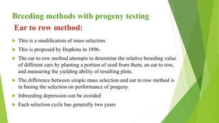 Breeding Methods in Cross Pollinated crops, Mass Selection, Ear to row ...