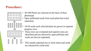 Breeding Methods in Cross Pollinated crops, Mass Selection, Ear to row ...