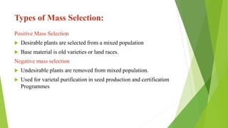 Breeding Methods in Cross Pollinated crops, Mass Selection, Ear to row ...