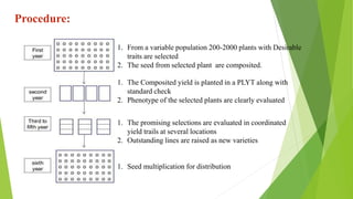 Breeding Methods in Cross Pollinated crops, Mass Selection, Ear to row ...