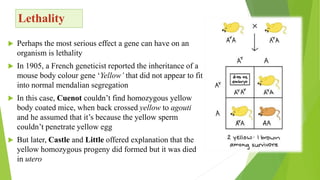 Balanced Lethals and Chromosome Complexes | PPTX