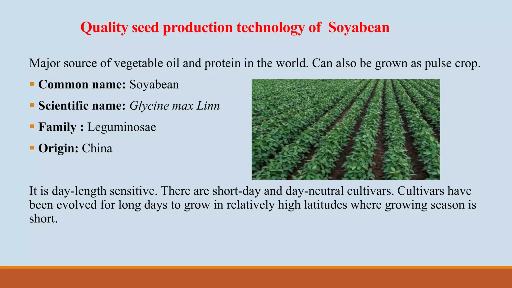 Quality Seed Production technology of Groundnut, Soyabean and Sesame | PPTX