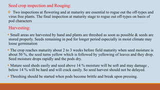 Quality Seed Production technology of Groundnut, Soyabean and Sesame | PPTX
