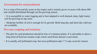 Quality Seed Production technology of Groundnut, Soyabean and Sesame | PPTX