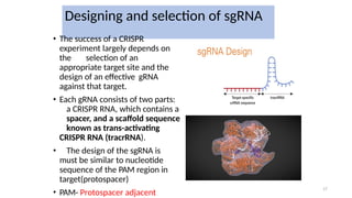 CRISPR PPT genome editing technology in pathology | PPTX