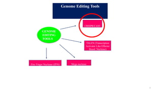 CRISPR PPT genome editing technology in pathology | PPTX