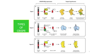 CRISPR PPT genome editing technology in pathology | PPTX
