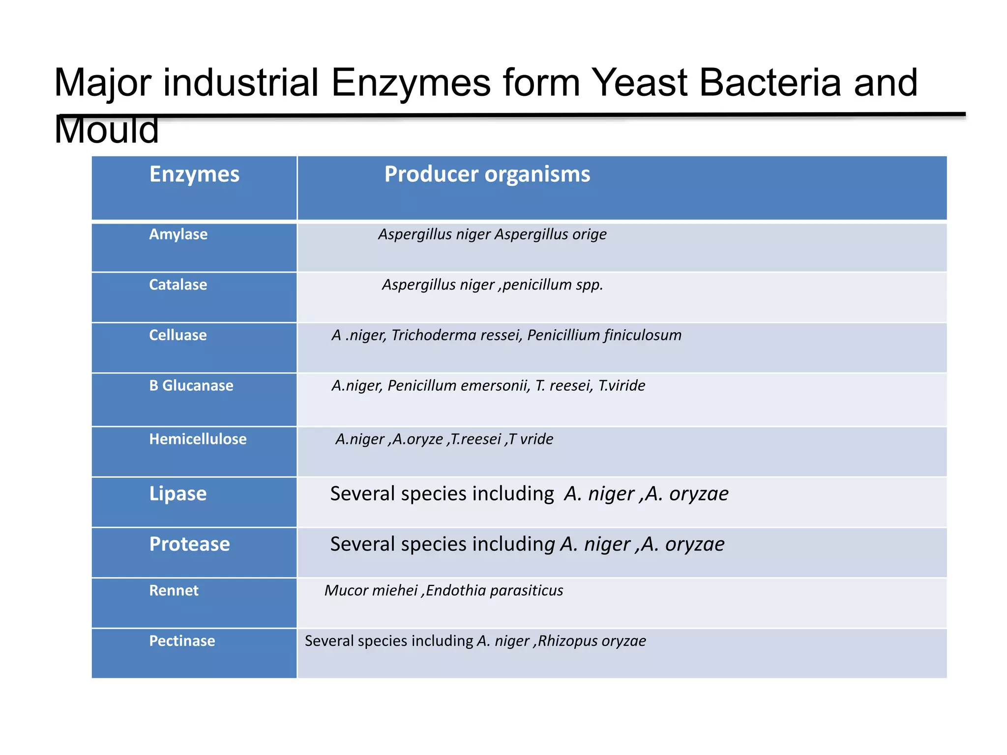 Fermentation process involved in enzyme production. | PPTX