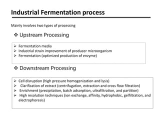 Fermentation process involved in enzyme production. | PPTX