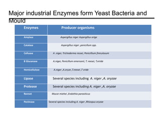 Fermentation process involved in enzyme production. | PPTX