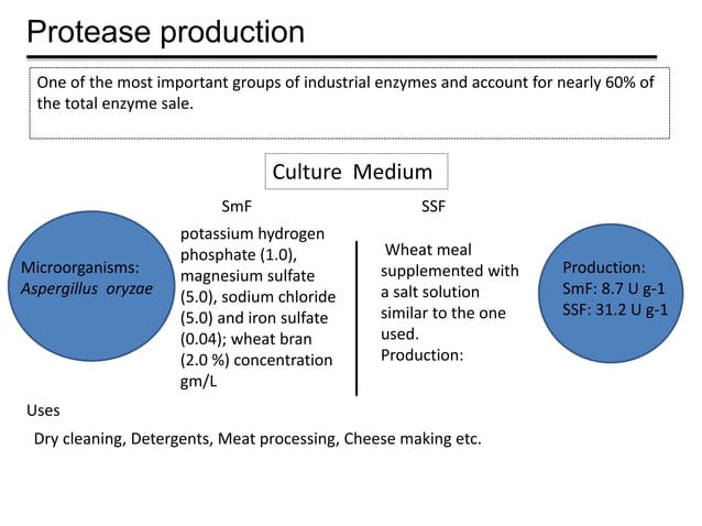 Fermentation process involved in enzyme production. | PPTX