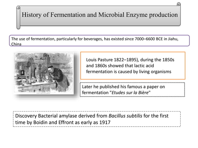 Fermentation process involved in enzyme production. | PPTX