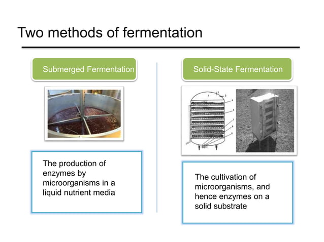 Fermentation process involved in enzyme production. | PPTX