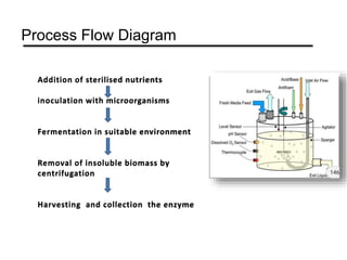 Fermentation Process Diagram
