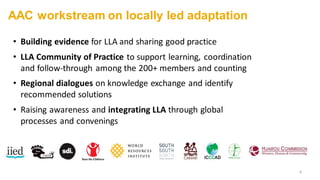 Tamara Coger's presentation on locally led adaptation (WRI) | PDF