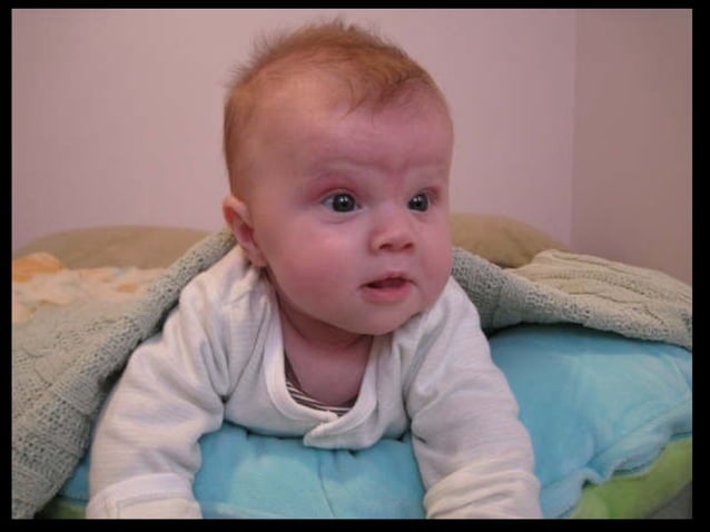 Tamara Kret Feb 2009 | PPT