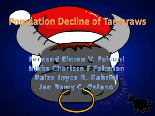 Tamaraw population decline | PPTX