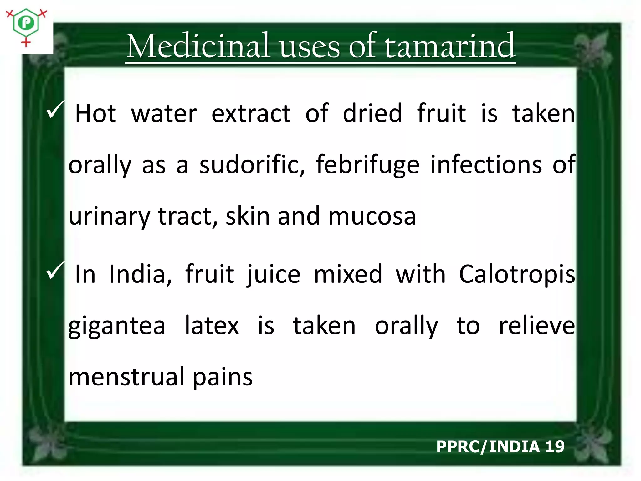 Tamarind | PDF