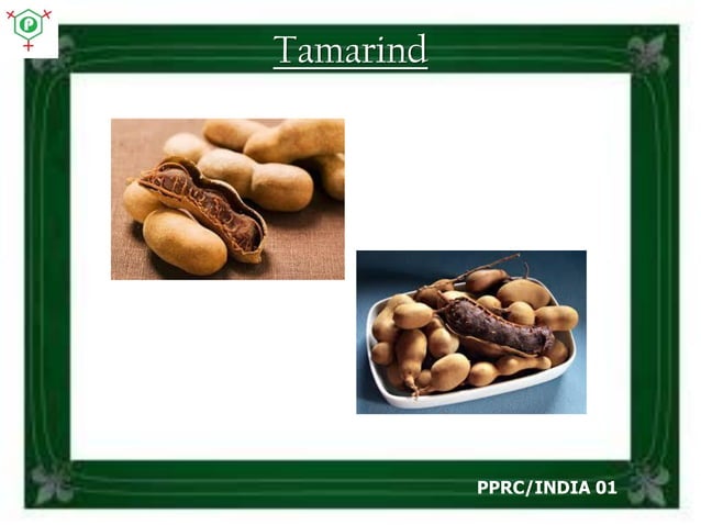 Tamarind | PPT