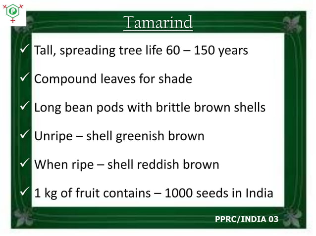 Tamarind | PPT