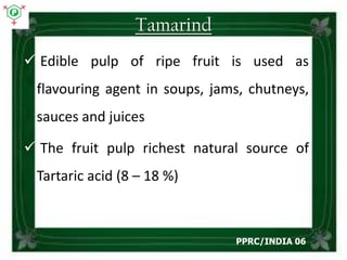 Tamarind | PDF