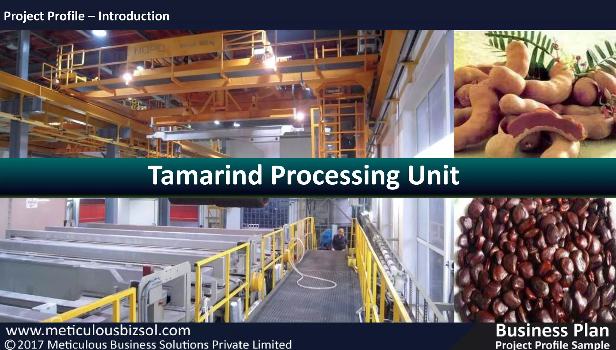 Tamarind Processing Unit | PPTX