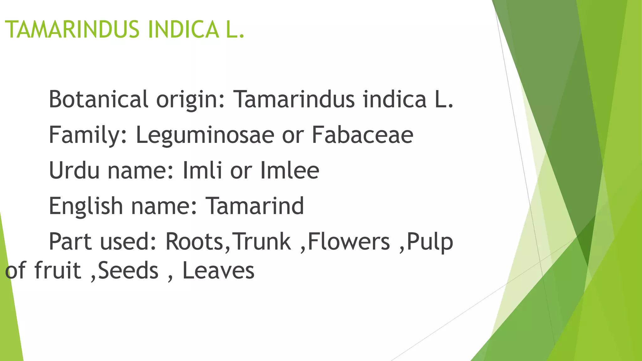 Tamarindus indica (Tamarind) | PPTX