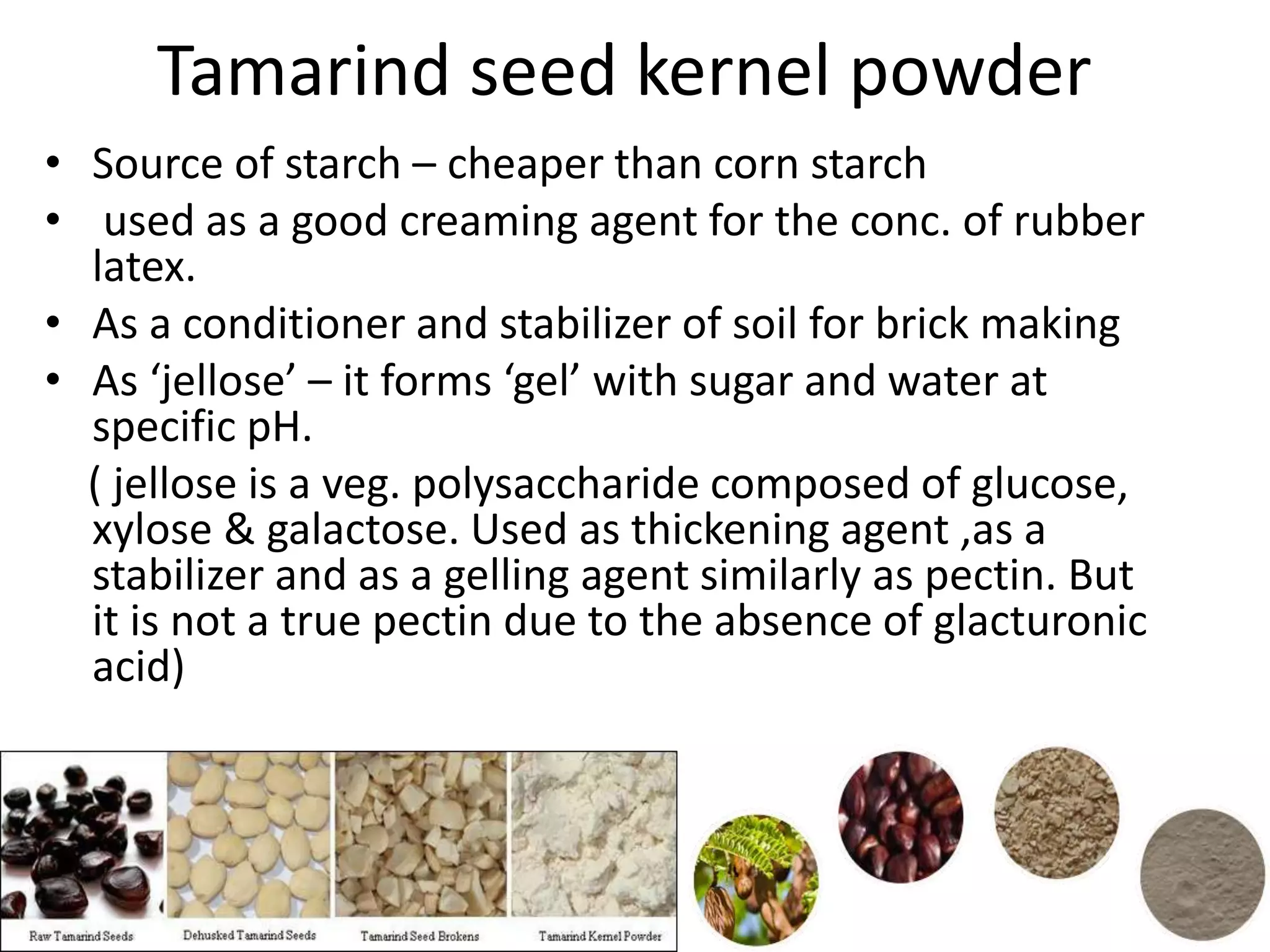 Tamarind varieties and processing | PPTX