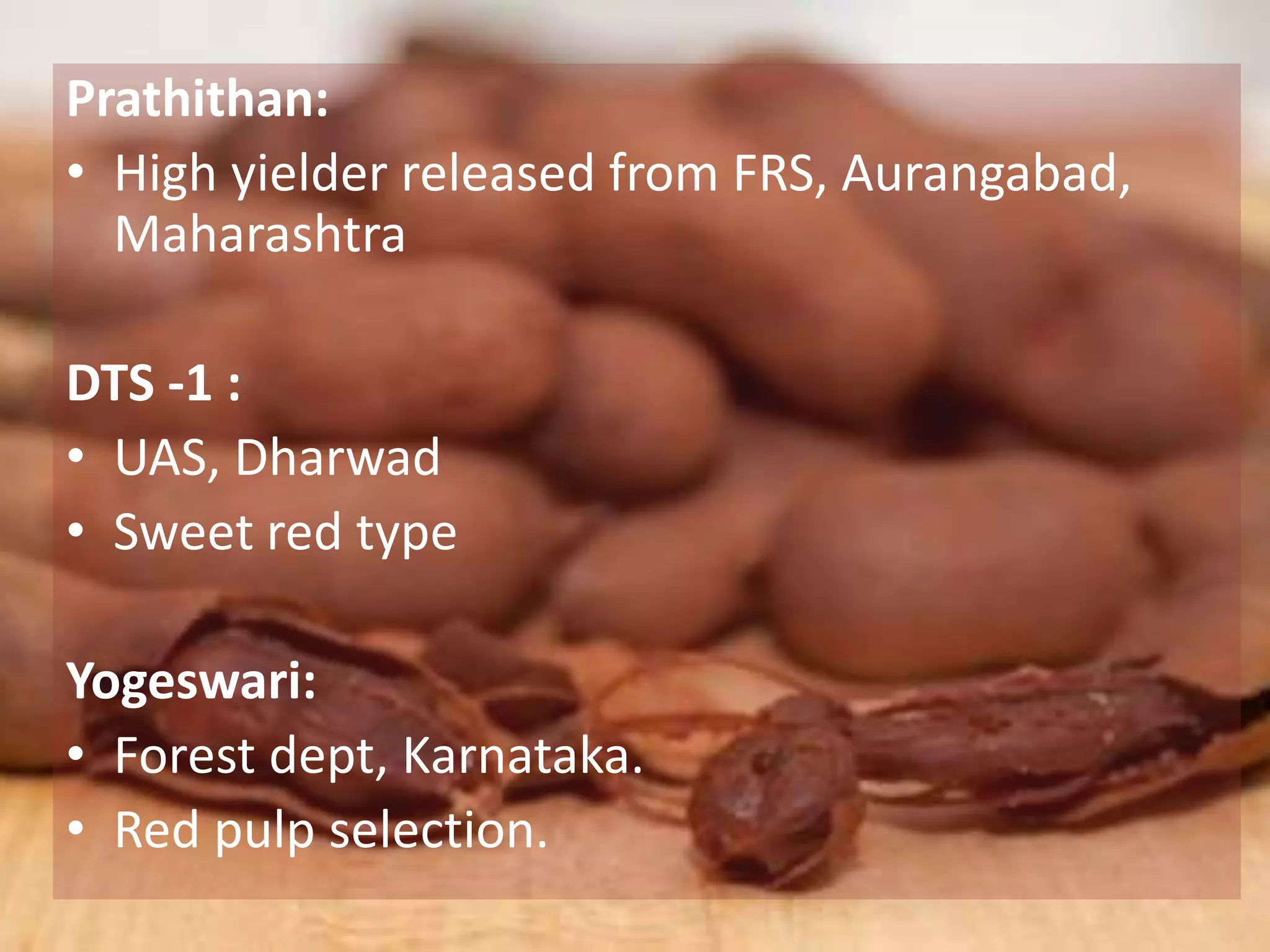 Tamarind varieties and processing | PPTX