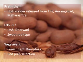 Tamarind varieties and processing | PPTX