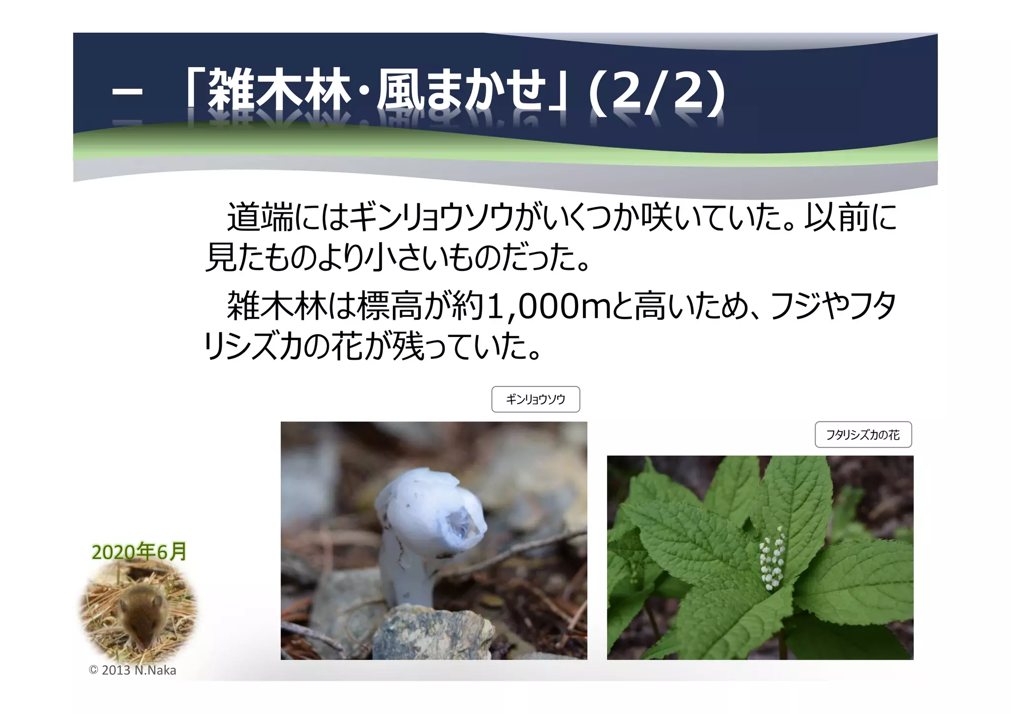 Tama river 202006 | PDF