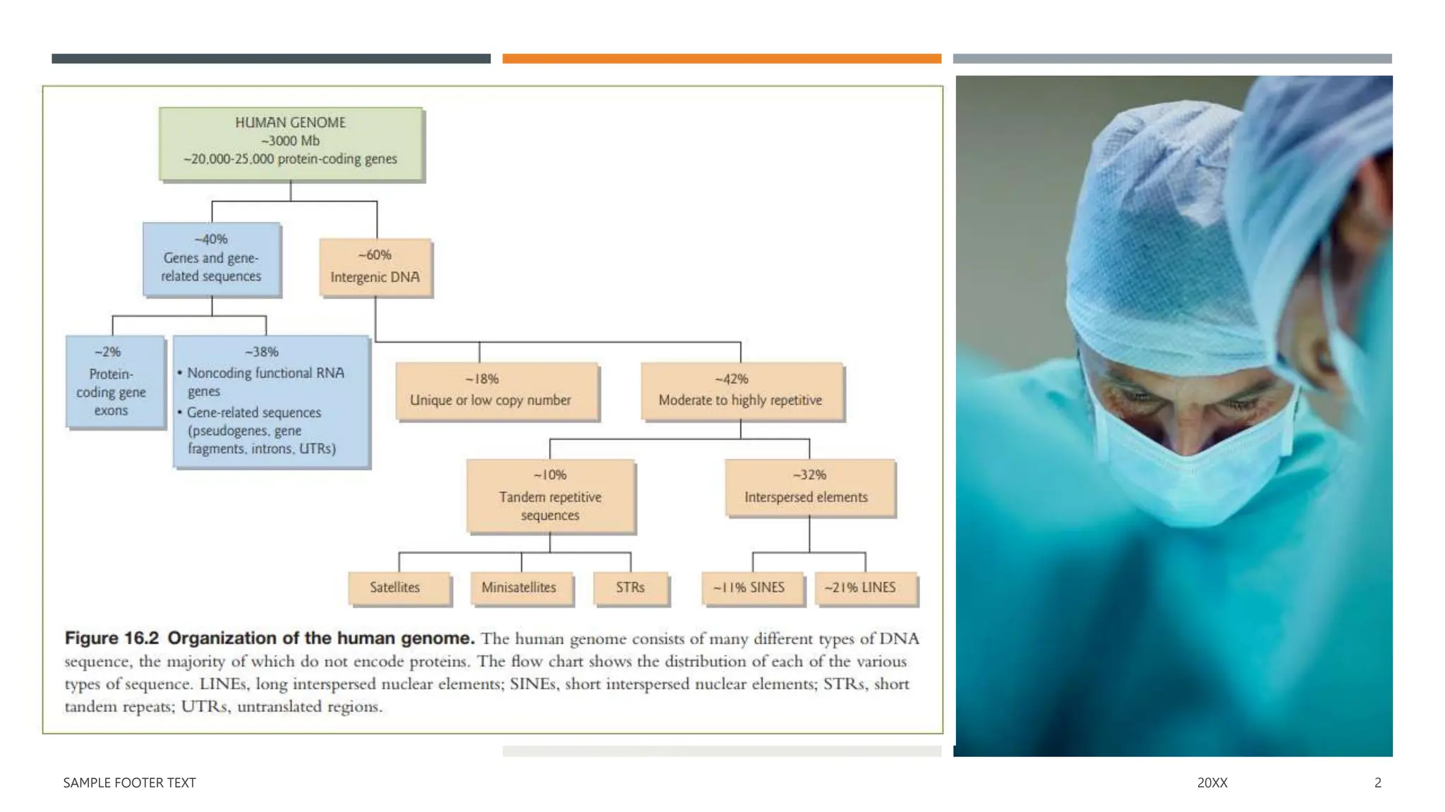 tambahan patmol pemeriksaan dna dll.pptx