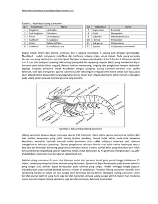 TAMBAK DAN UDANG VANNAMEI | PDF