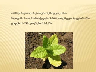 თამბაქოს ქიმიური შემადგენლობა | PPTX