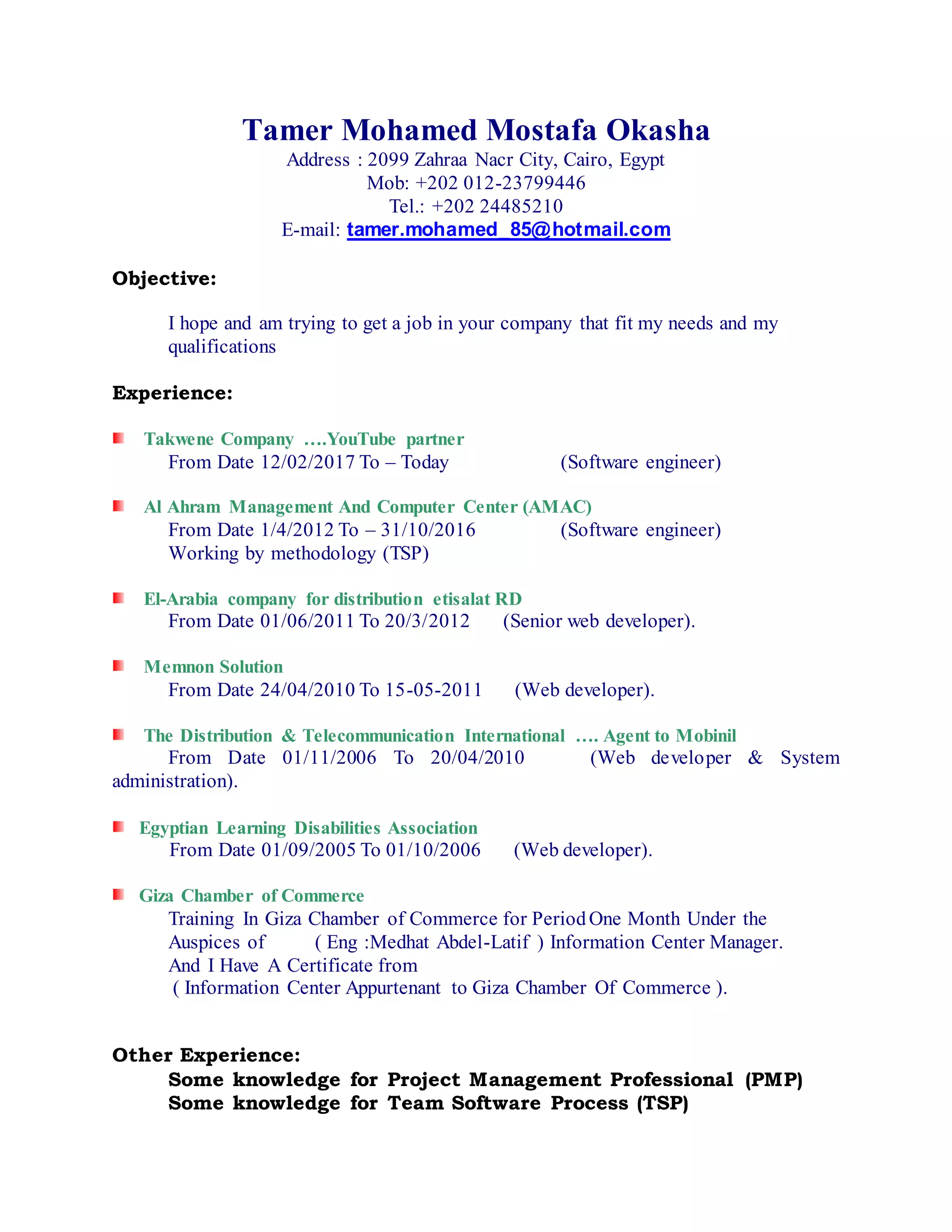 Tamer Mohamed | DOCX