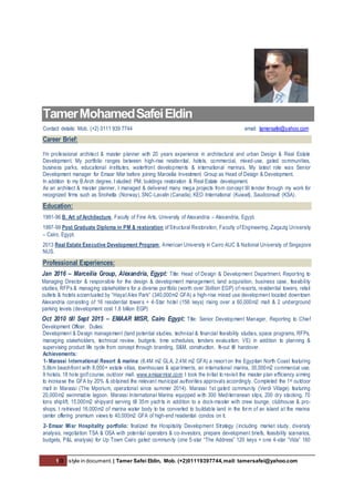 Tamer Safei Eldin CV | DOCX