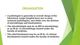 CLT - Organization of clinical Laboratory | PDF