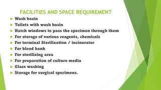 CLT - Organization of clinical Laboratory | PDF