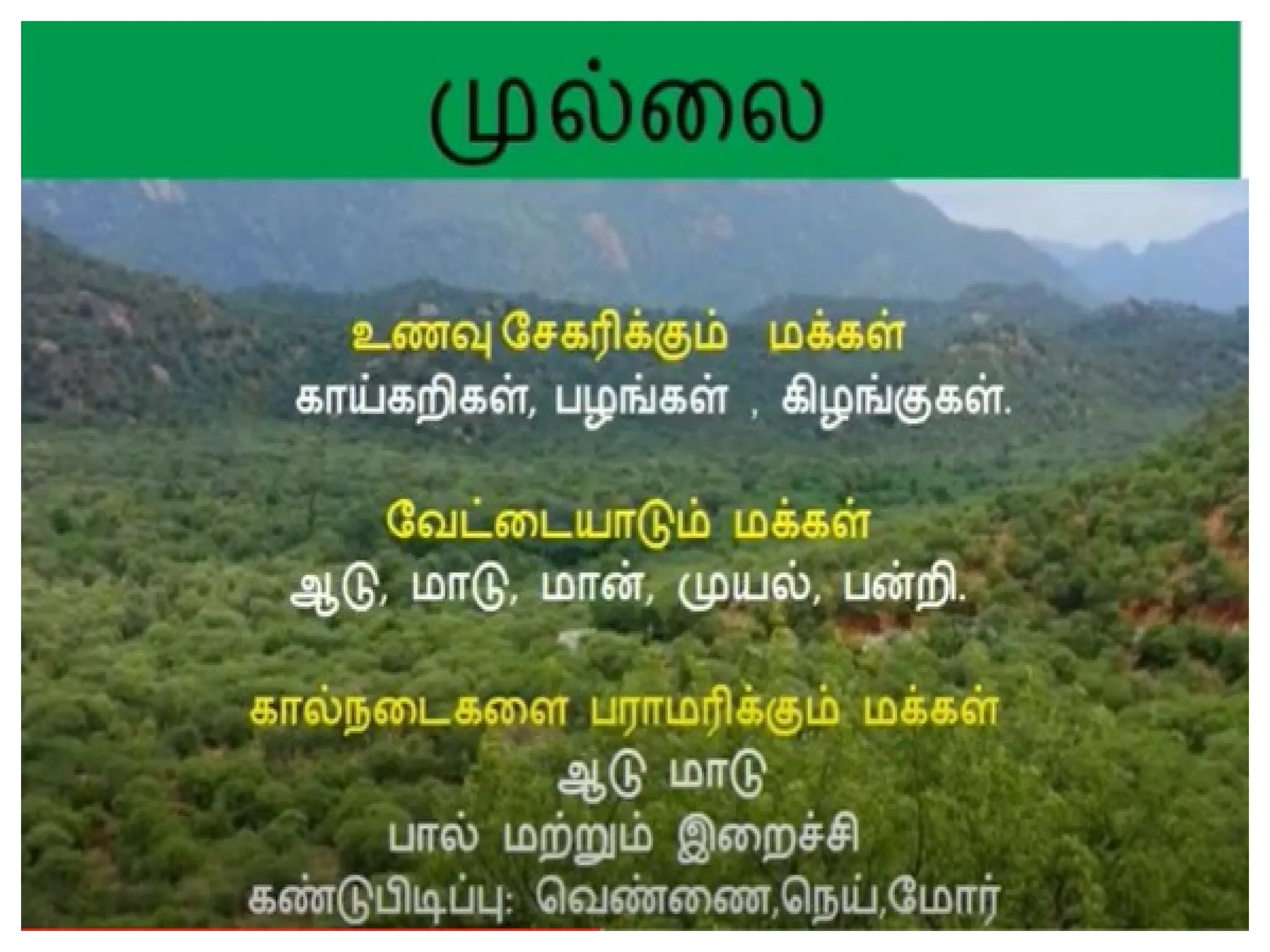 Tamil activity for all ages class 1 -6.pptx