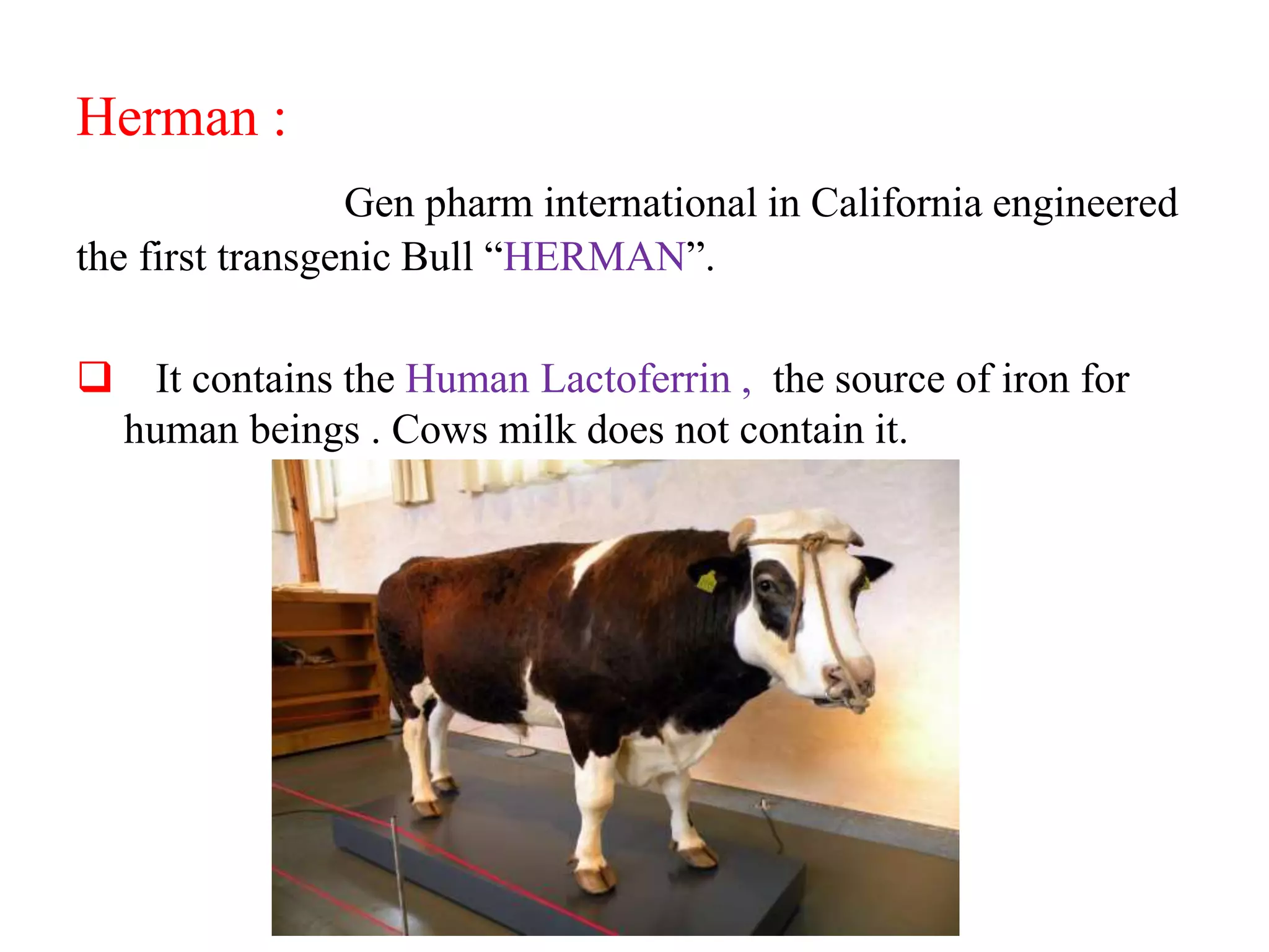 Application of Transgenic Animals in Livestock production | PPTX