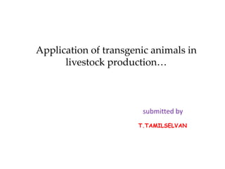 Application of Transgenic Animals in Livestock production | PPTX
